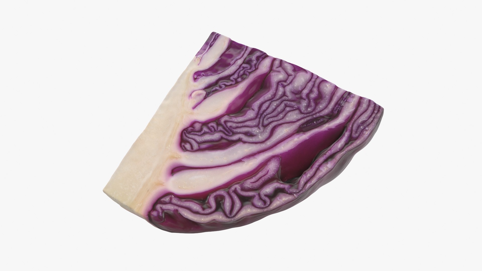Slice Red Cabbage 2 3D - TurboSquid 2129771
