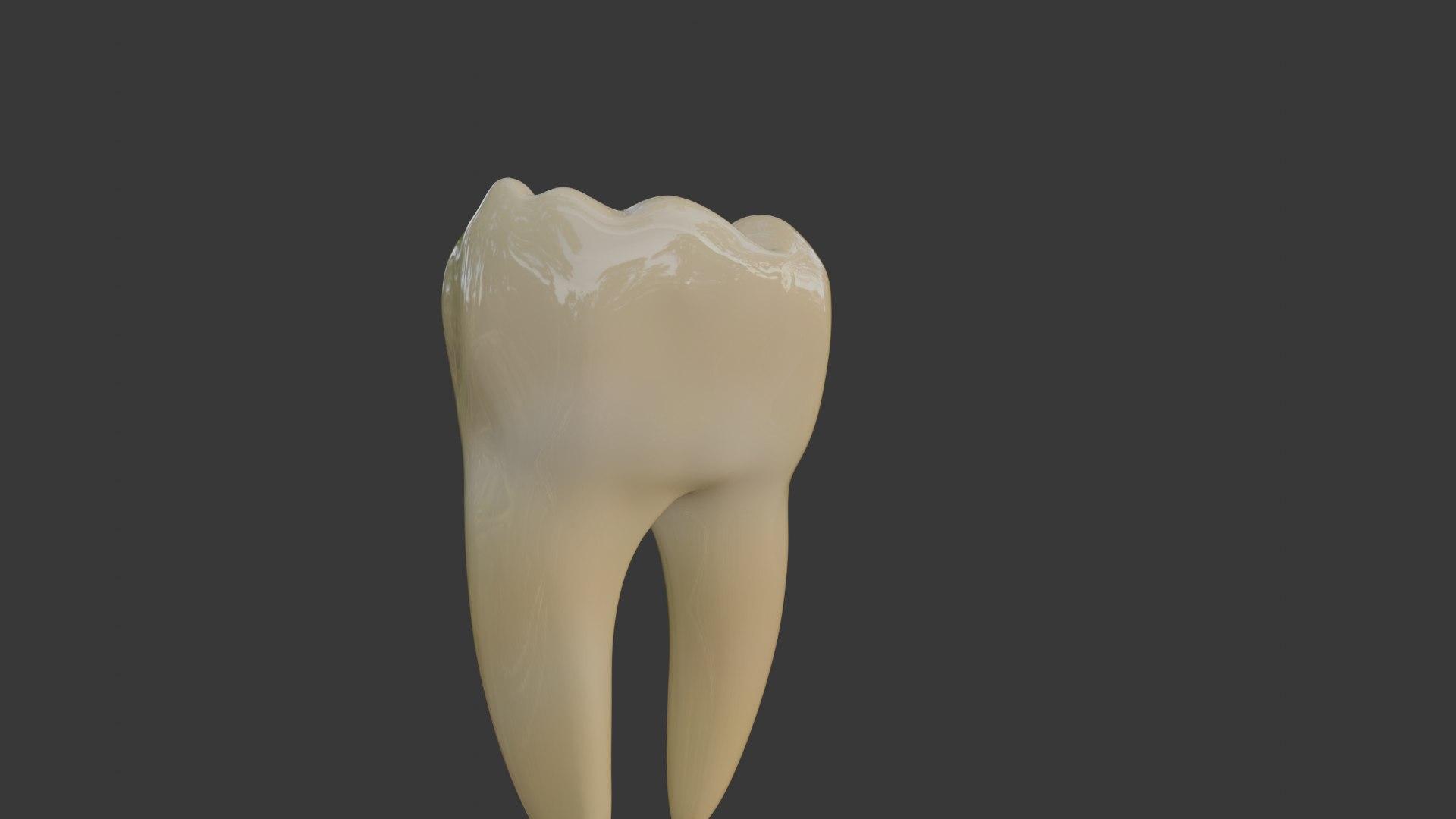 3D Human Molar Tooth V2 Model - TurboSquid 2382555