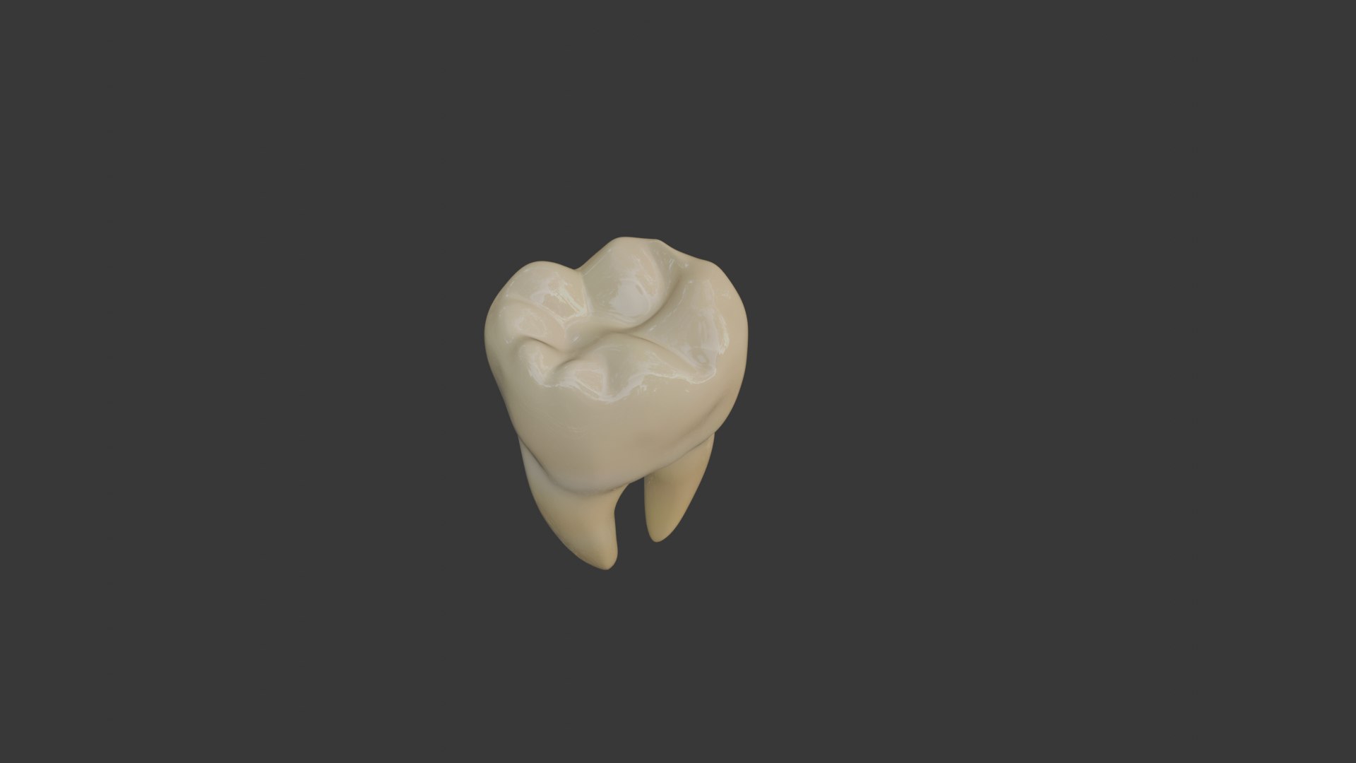 3D Human Molar Tooth V2 Model - TurboSquid 2382555