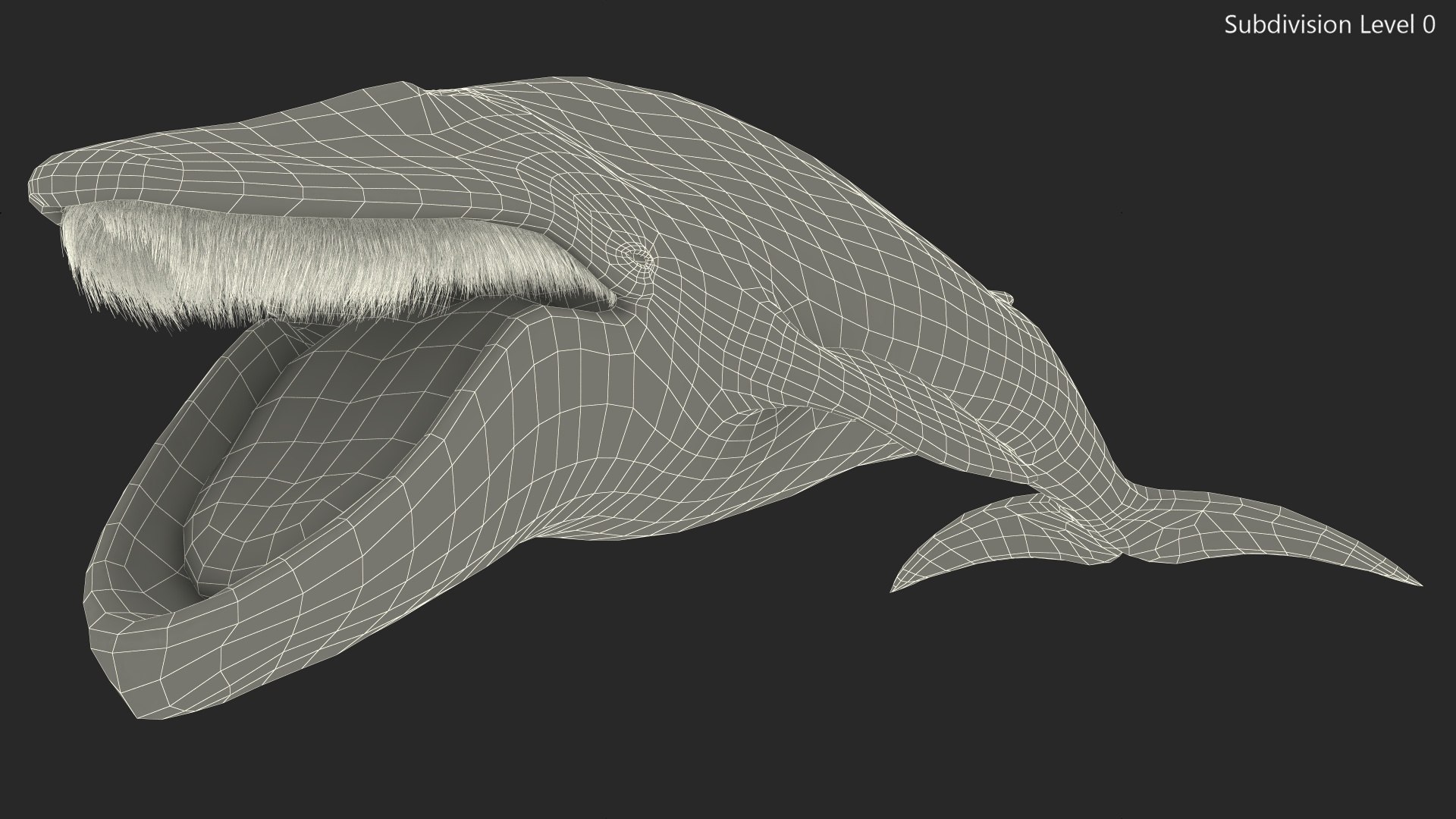 3D Blue Whale Fur model - TurboSquid 2061201