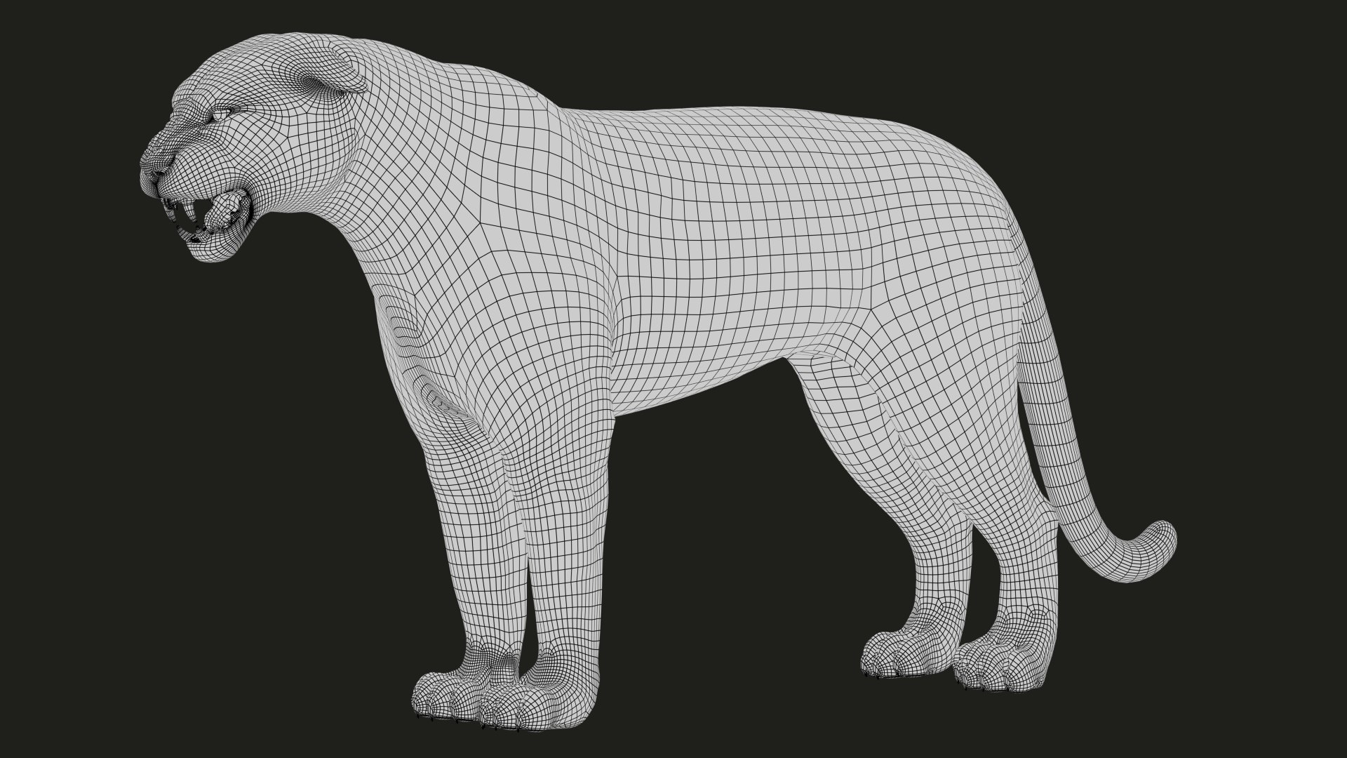 WHITE BENGAL TIGER ANIMATED XGEN-CORE Model - TurboSquid 1722576