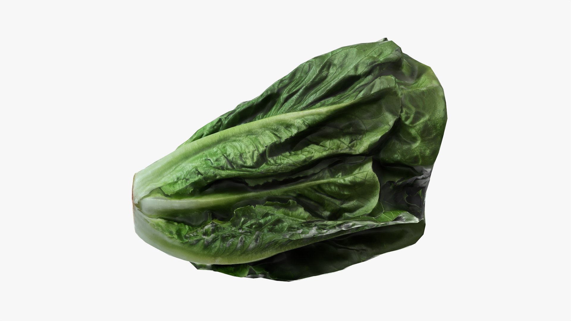 Romaine Lettuce 02 Game Ready 3D Model - TurboSquid 2454661