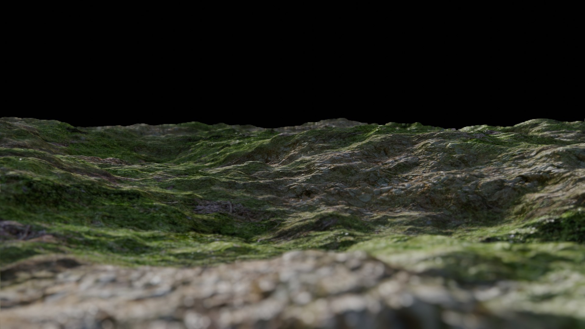 3D Grass Terrain - TurboSquid 1587348