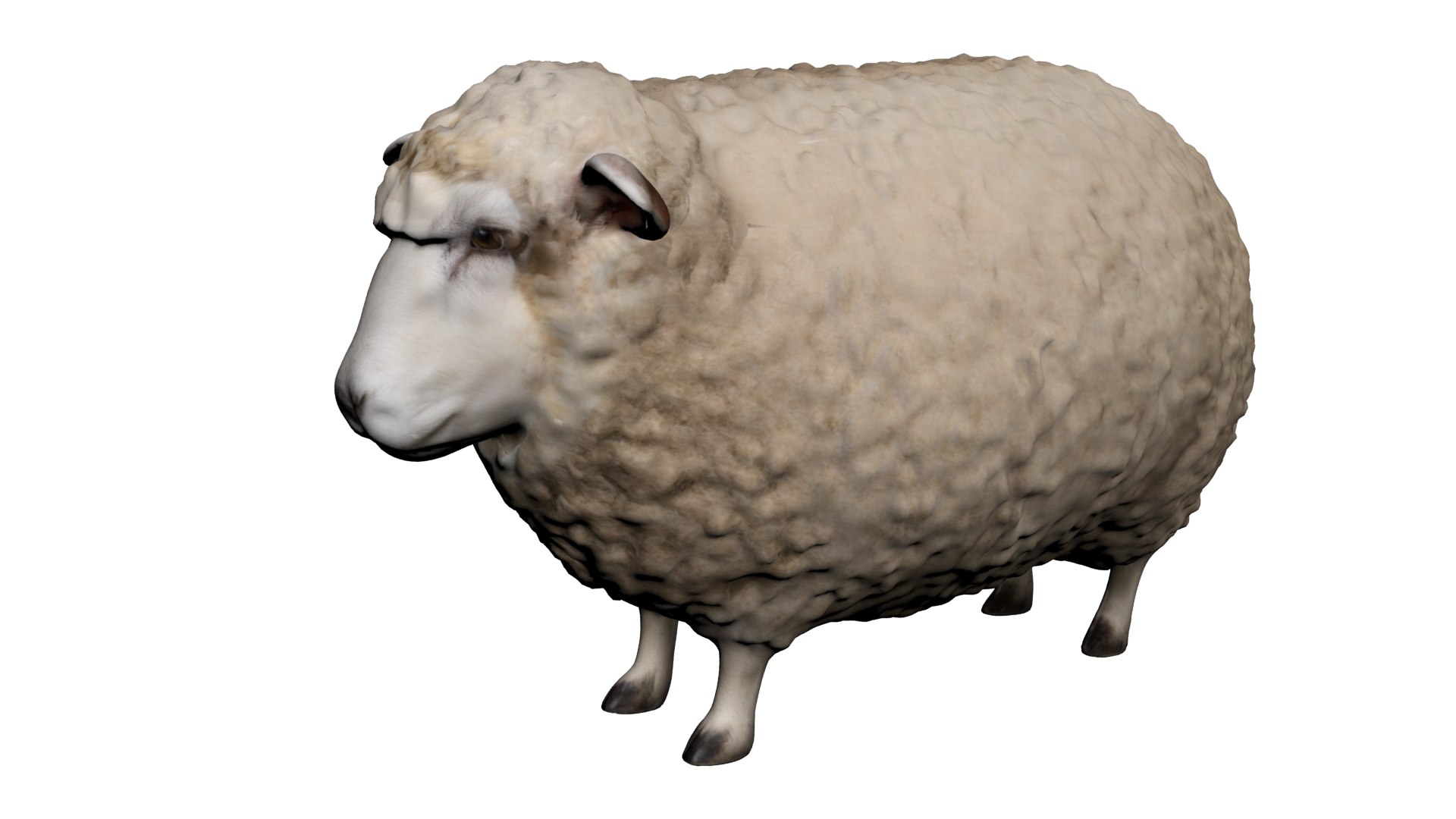 3D Realistic Sheep 3D Model - TurboSquid 2408529