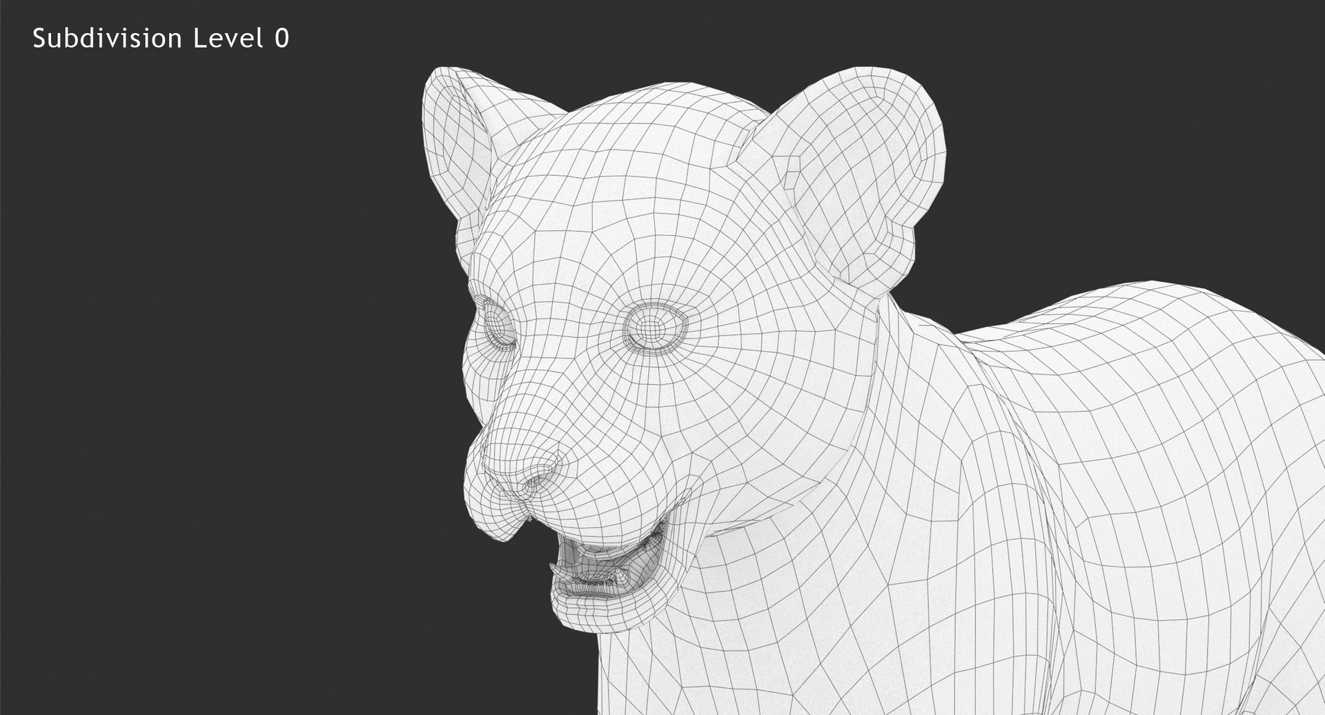 White lion cub modeled 3D model - TurboSquid 1464853