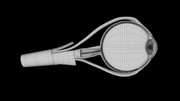 modelo 3d Anatomía humana-Ojo - TurboSquid 2229925