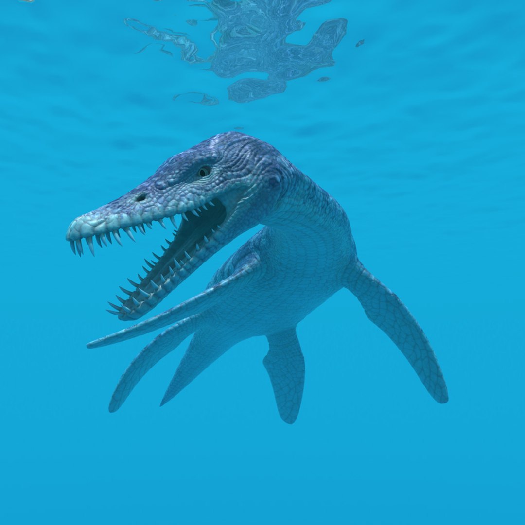 Plesiosaurus 3ds