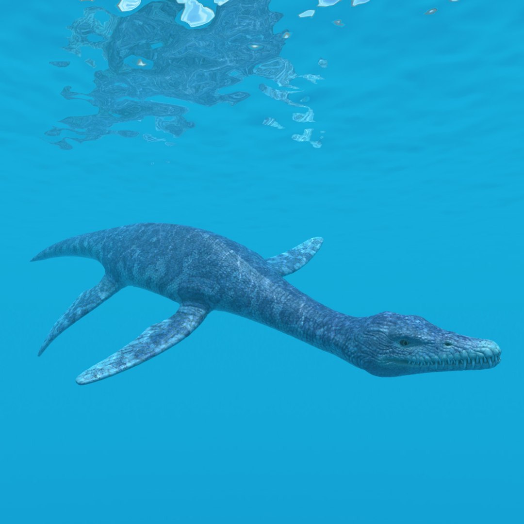 Plesiosaurus 3ds