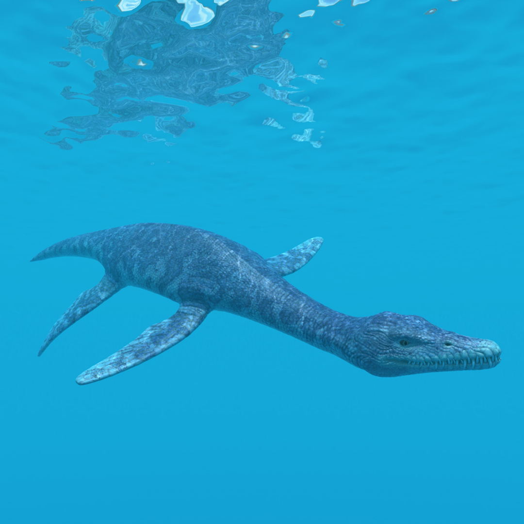 plesiosaurus 3ds