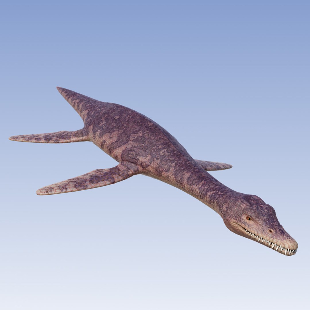 Plesiosaurus 3ds