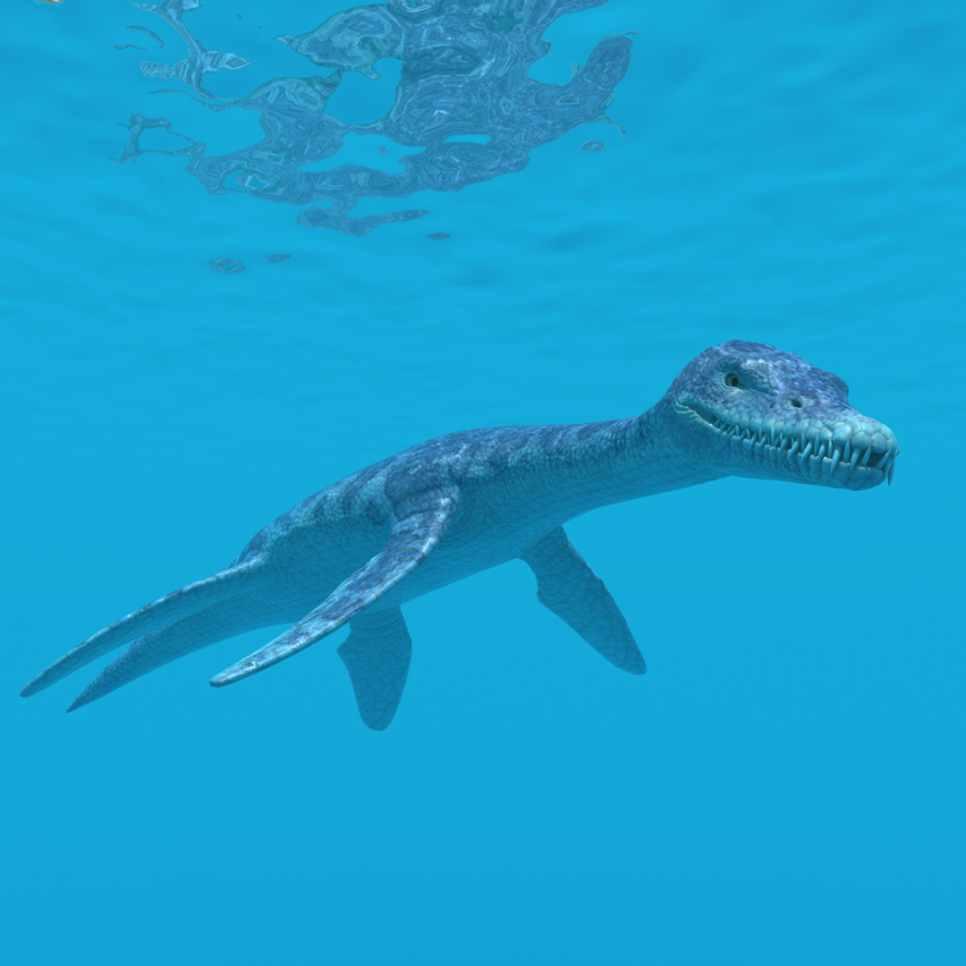 plesiosaurus 3ds