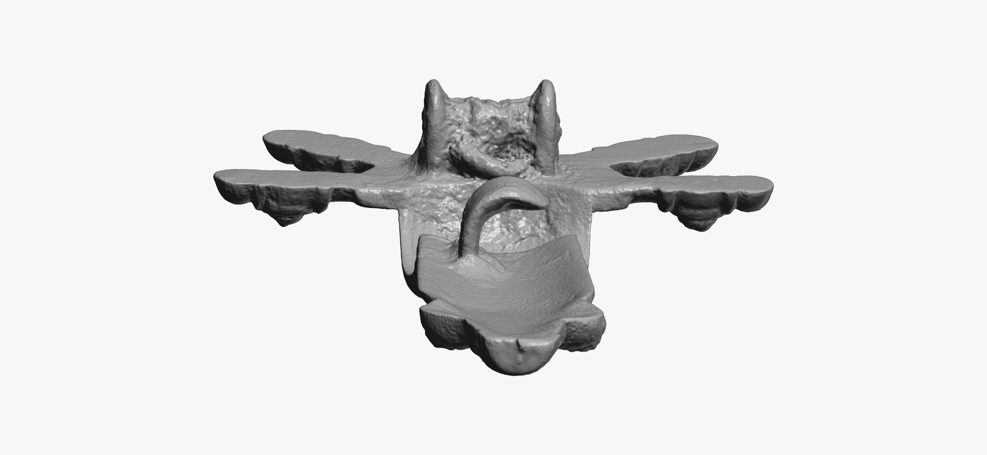 Medieval Fibula (Brooch) 01 RAW Scan 3D Model - TurboSquid 1793573