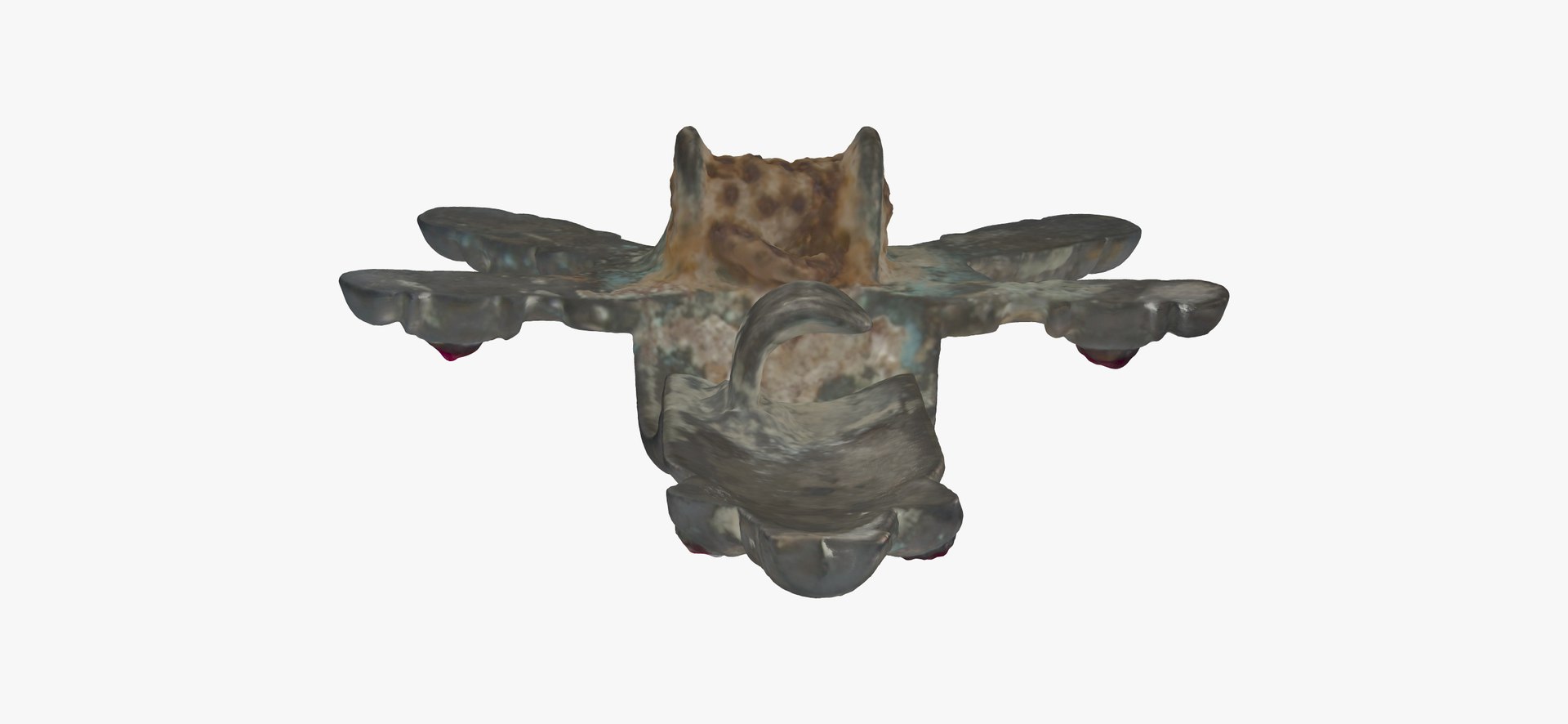 Medieval Fibula (Brooch) 01 RAW Scan 3D Model - TurboSquid 1793573