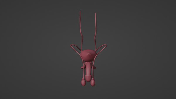 modelo 3d 3D Model of Male Reproductive System - TurboSquid 2082202