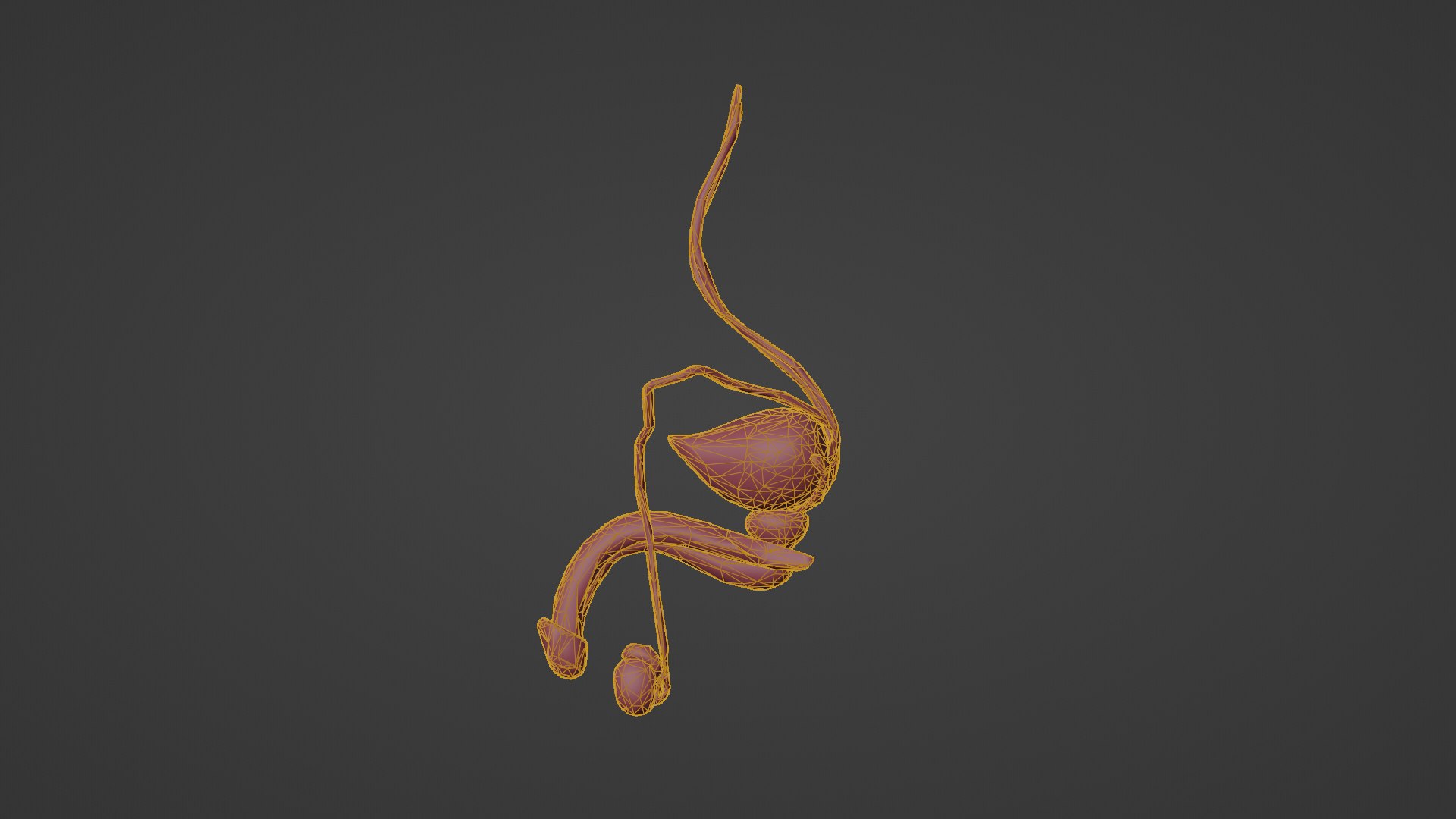3D Model Of Male Reproductive System 3D - TurboSquid 2082202