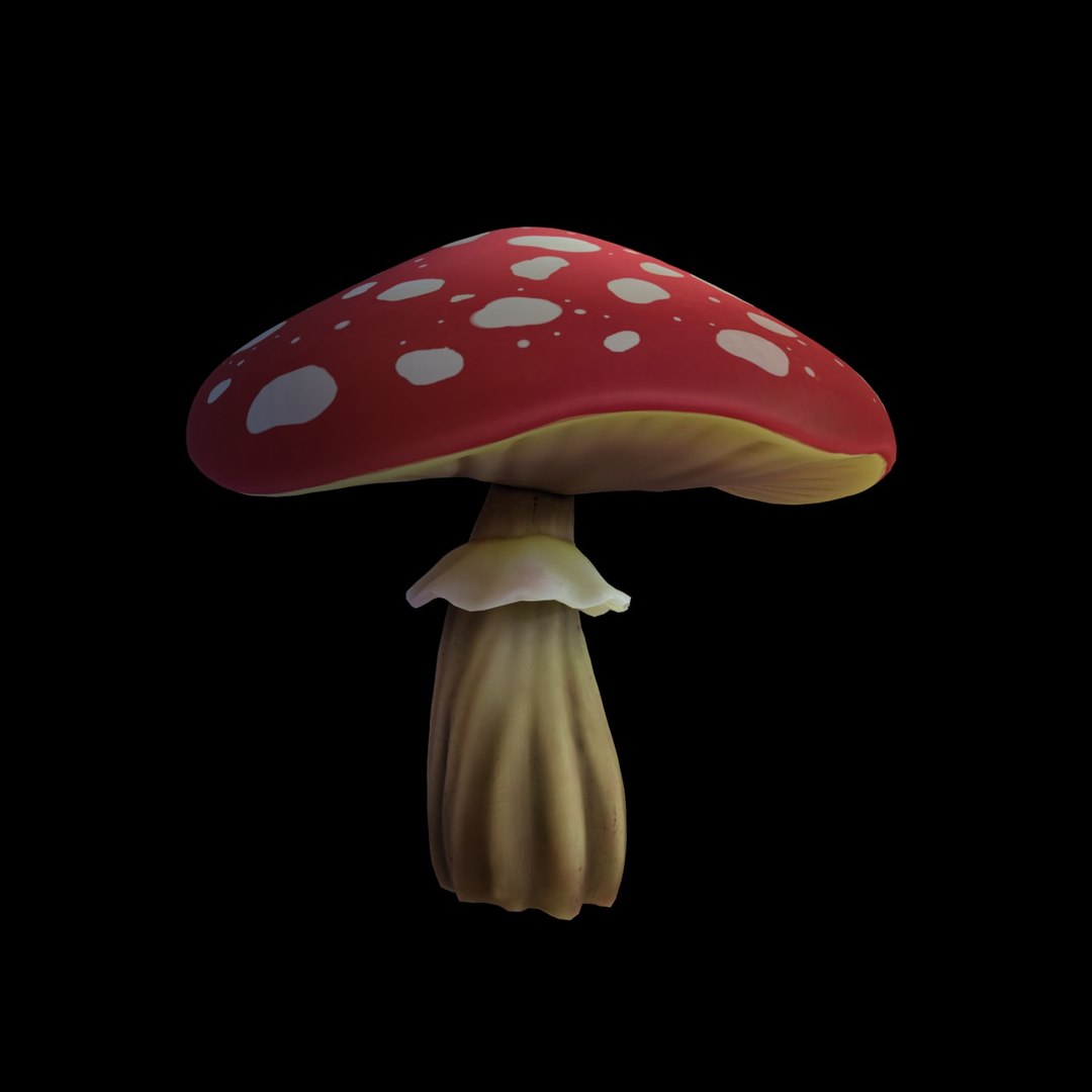 Mushroom 3D Model - TurboSquid 1439467