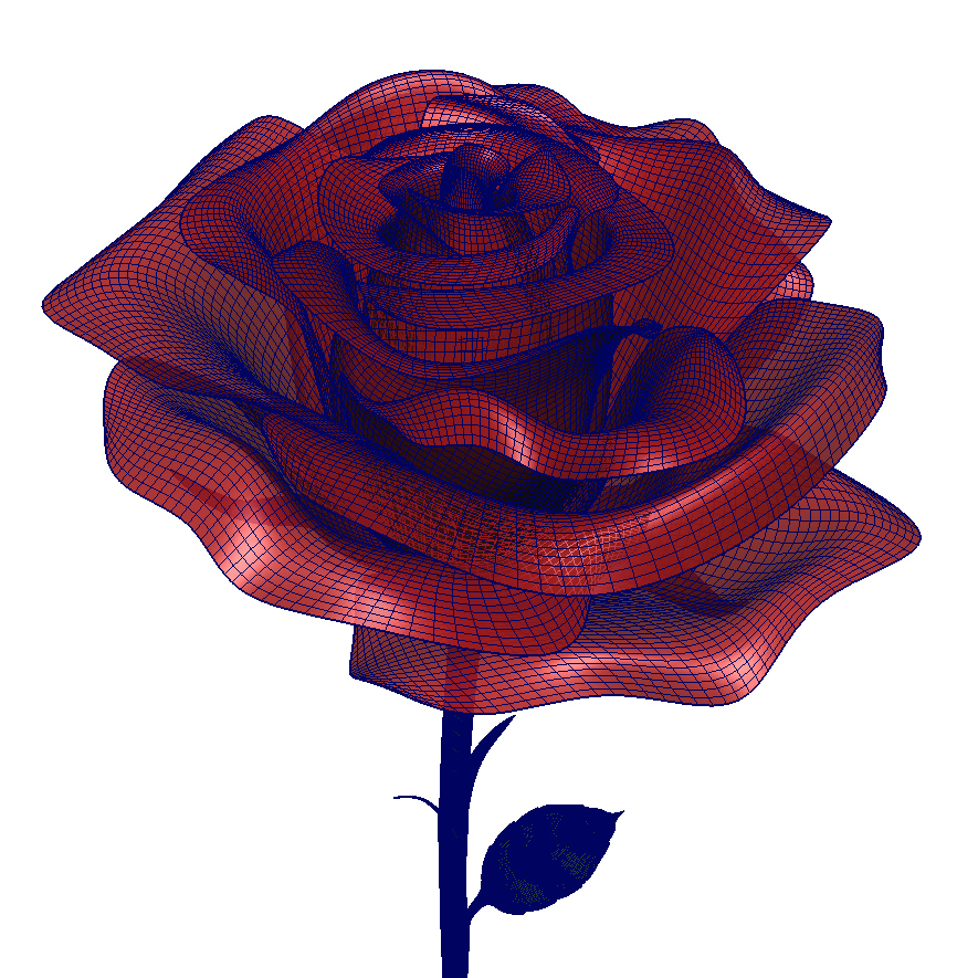 3d rose flower model