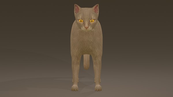 Gray cat modeled 3D - TurboSquid 1363247