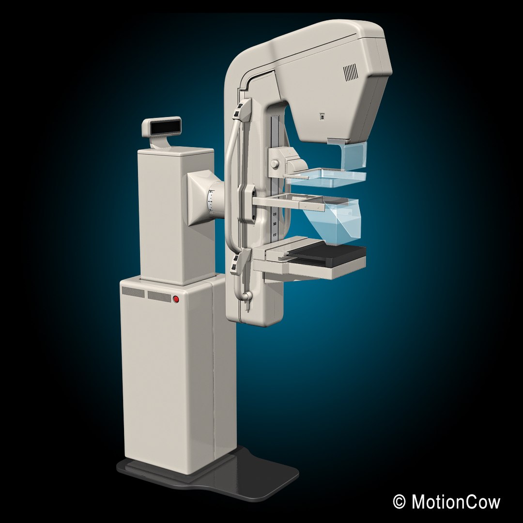 3d Model Mammography Mammogram