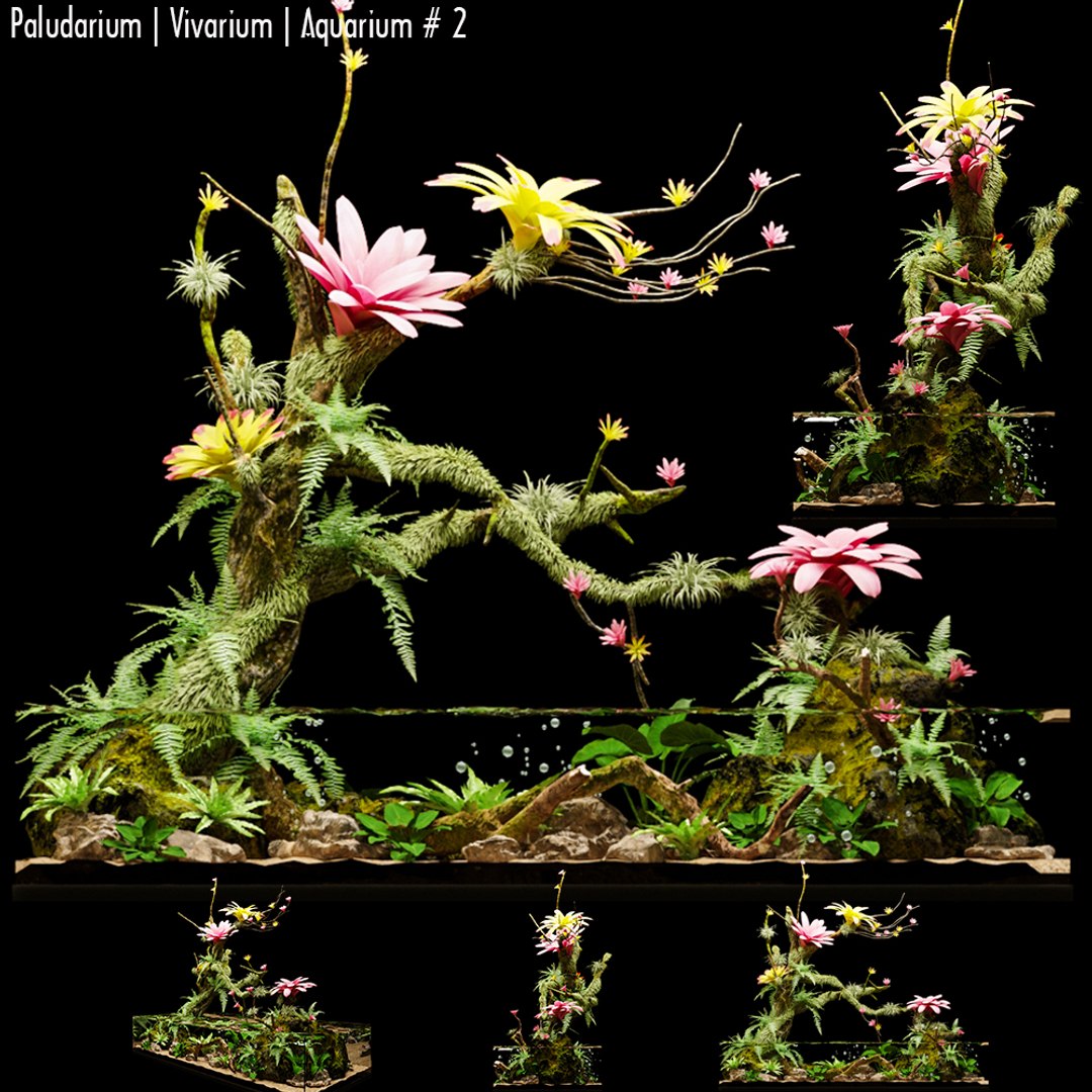 3D Paludarium | Vivarium Aquarium - TurboSquid 1495423