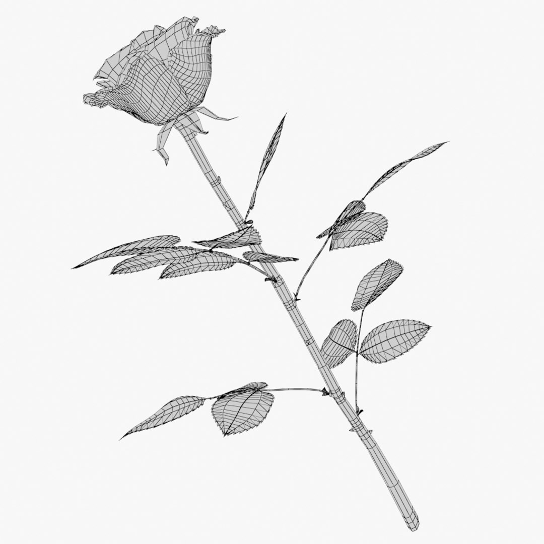 3D Rose Model - TurboSquid 1152319