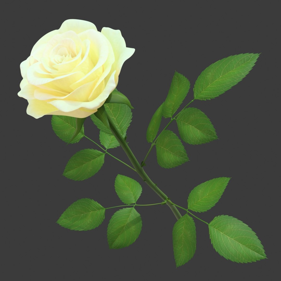3D Rose Model - TurboSquid 1152319