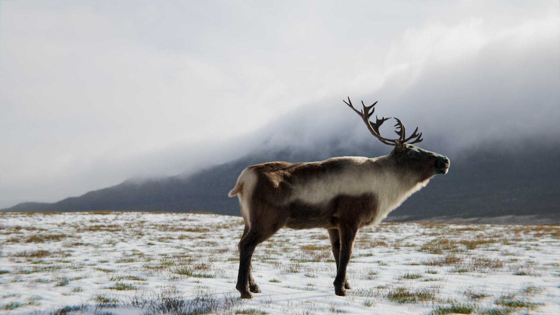 3D Reindeer Rigged Blender - TurboSquid 2488684