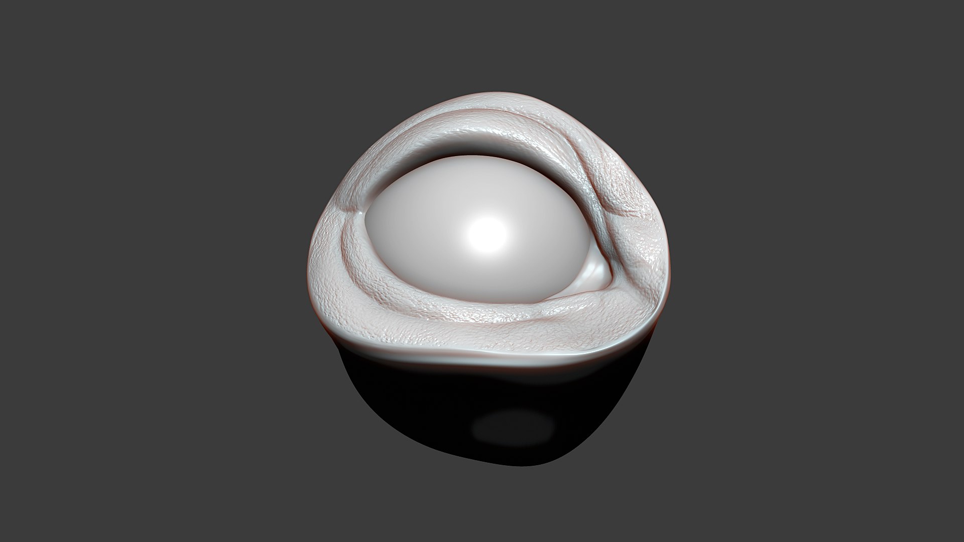 3D Cat Eye Socket Highpoly Sculpt - TurboSquid 1804954