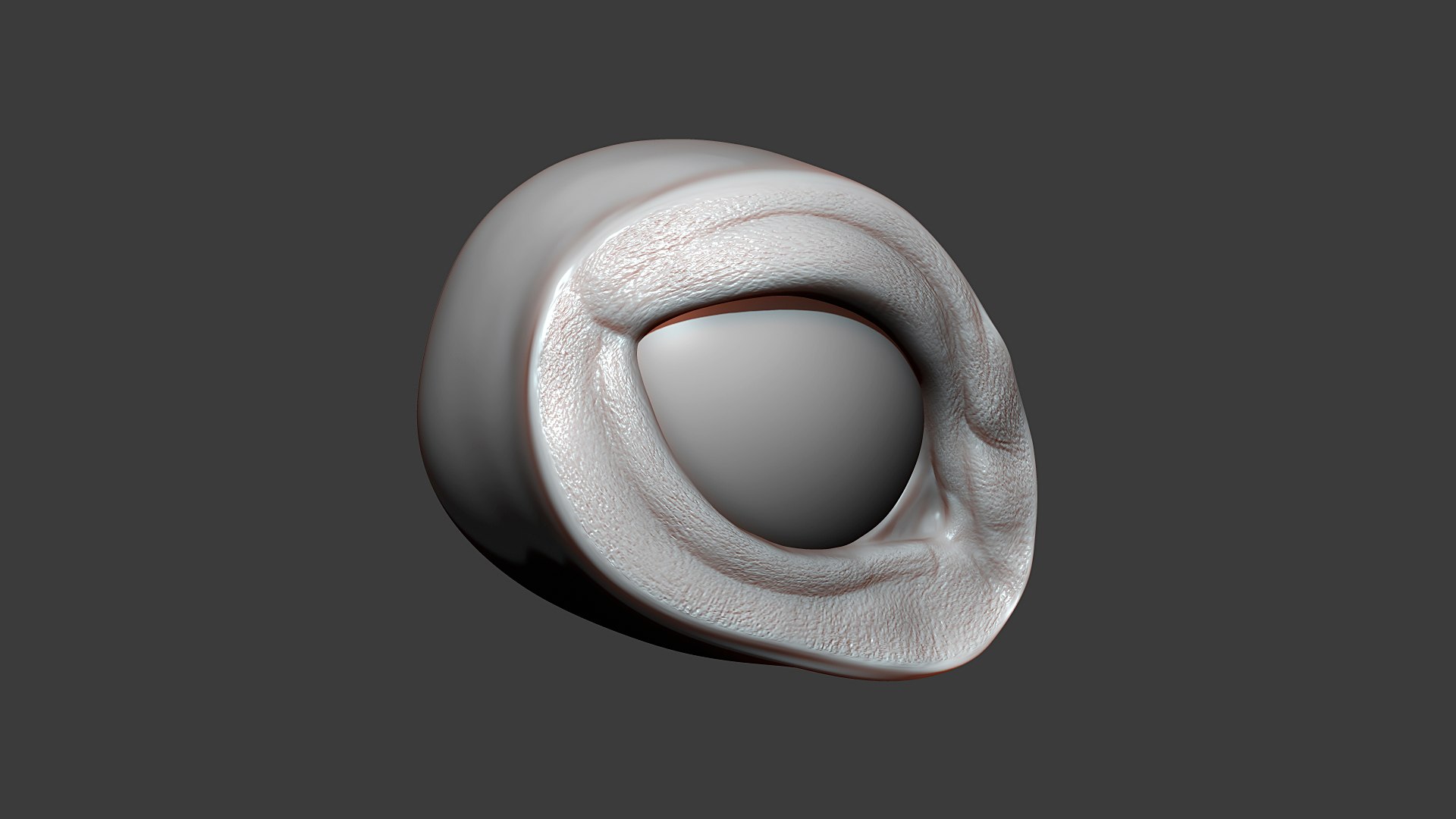 3D Cat Eye Socket Highpoly Sculpt - TurboSquid 1804954