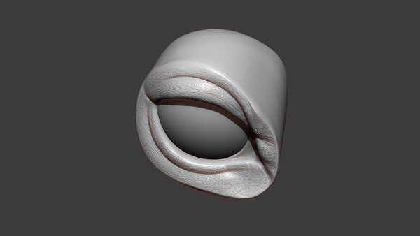 3D Cat Eye Socket Highpoly Sculpt - TurboSquid 1804954
