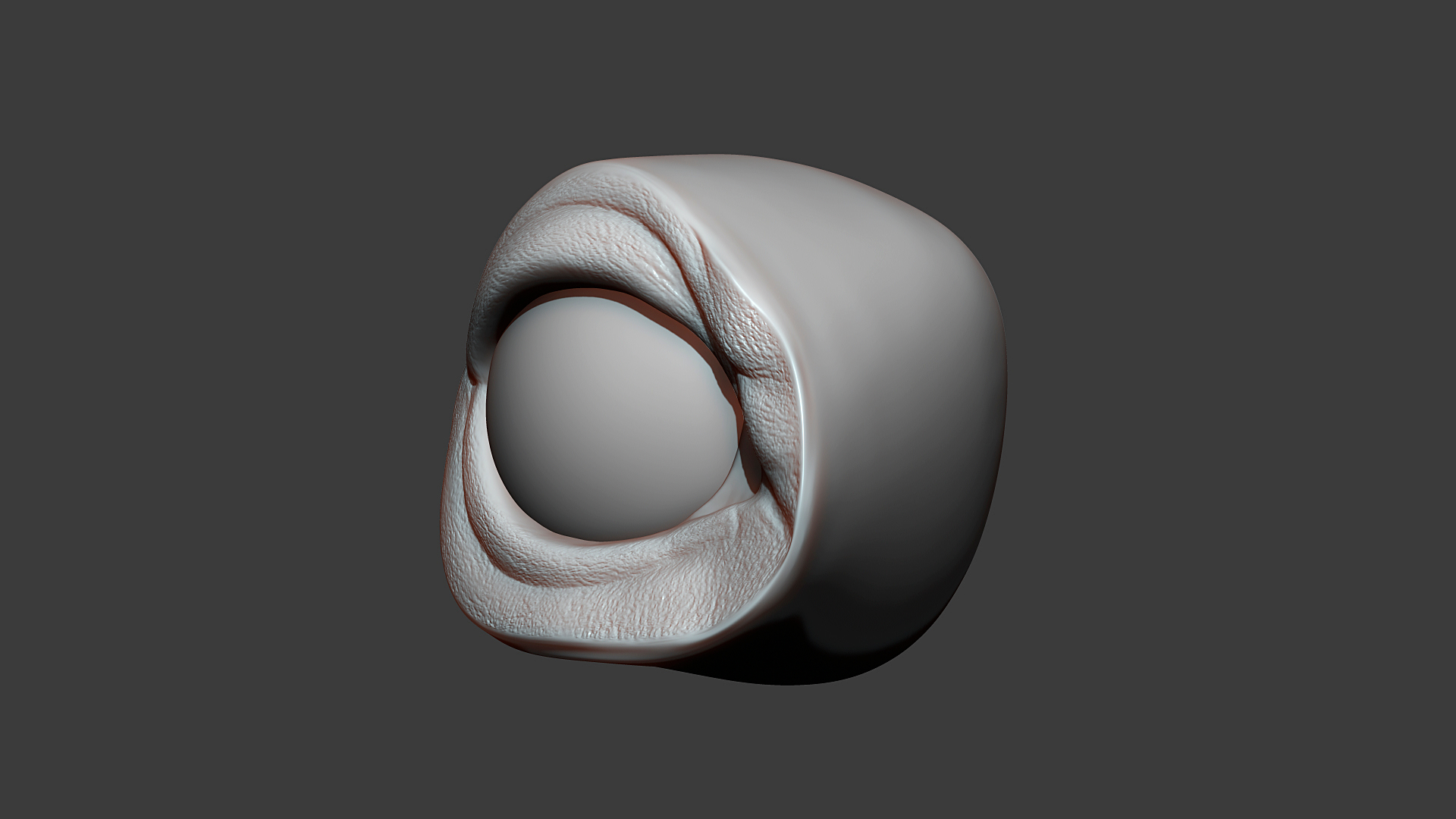 3D Cat Eye Socket Highpoly Sculpt - TurboSquid 1804954