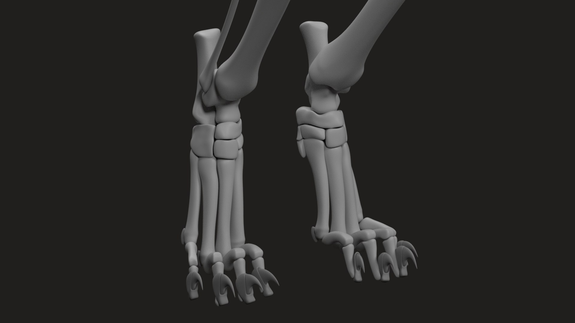 Lion Skeleton 3D Model - TurboSquid 1804647