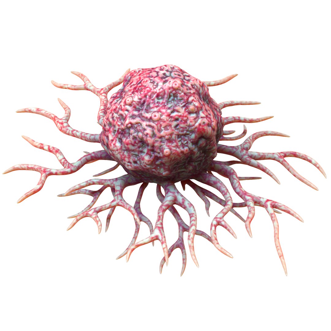 3D Cancer Cell Model - TurboSquid 1833082