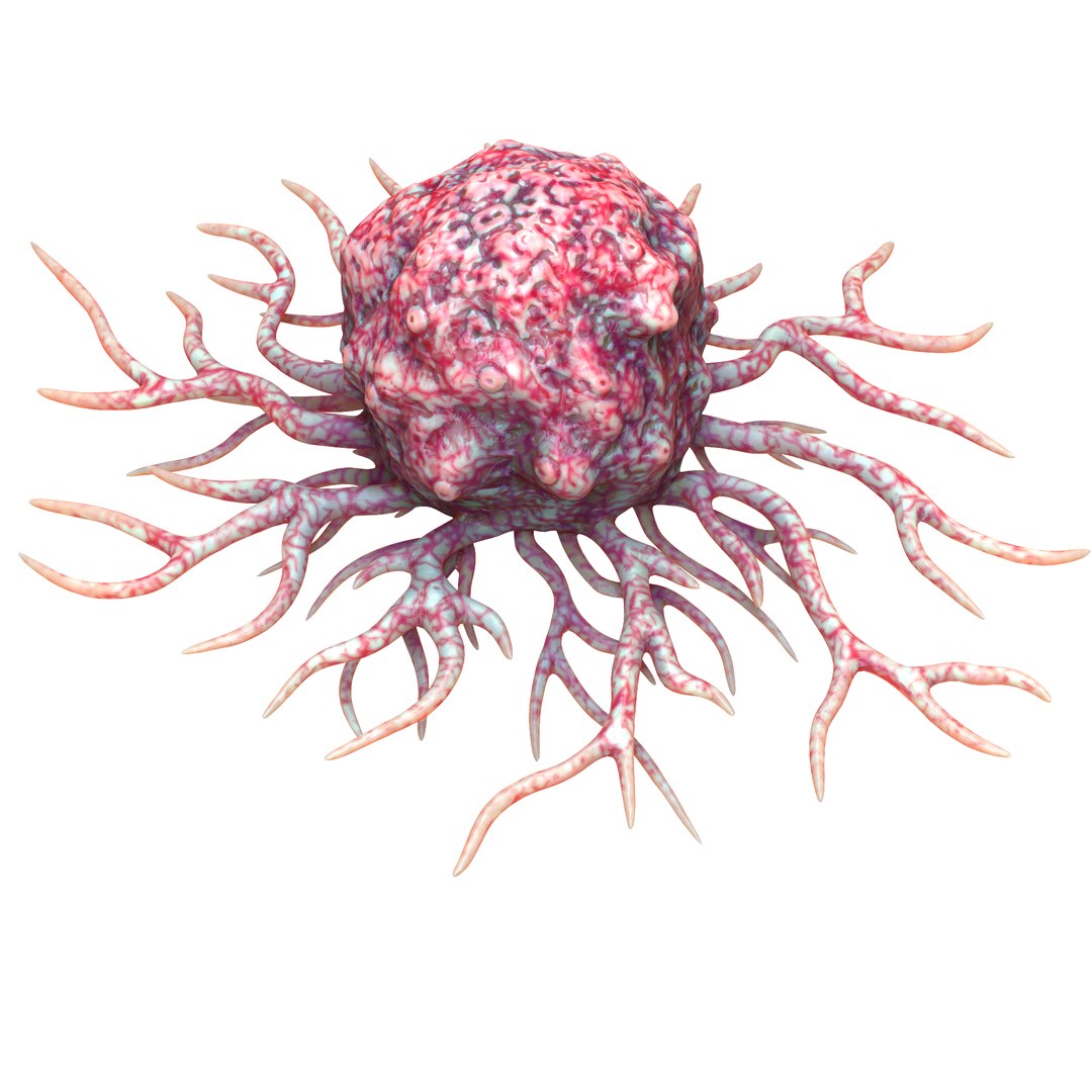 3d Cancer Cell Model Turbosquid 1833082