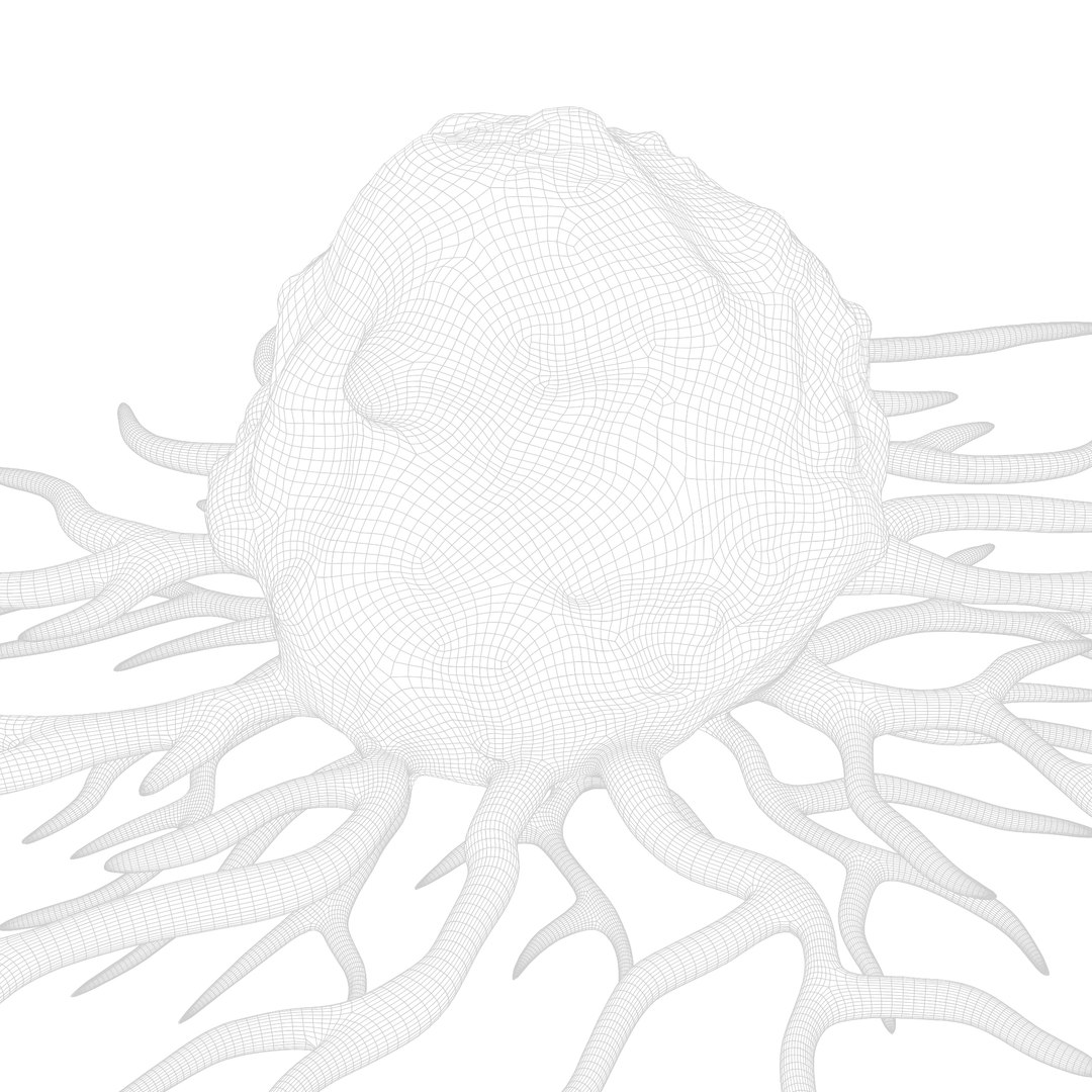 3D Cancer Cell Model - TurboSquid 1833082