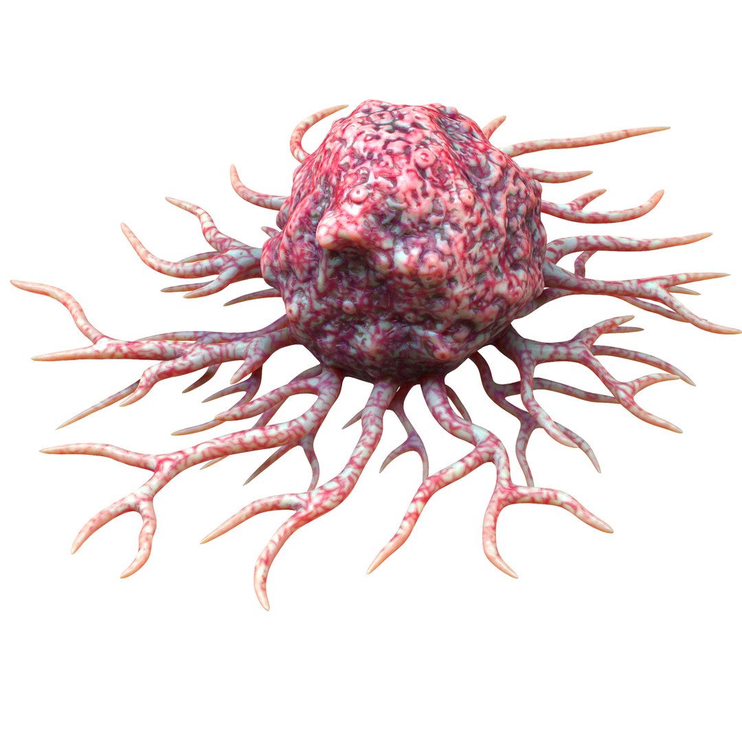 3D Cancer Cell Model - TurboSquid 1833082