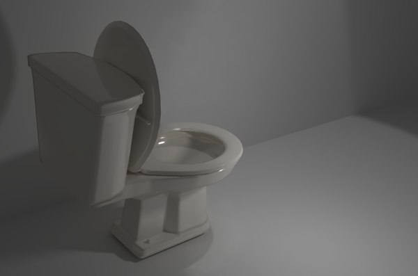 Free toilet 3D model - TurboSquid 1302449