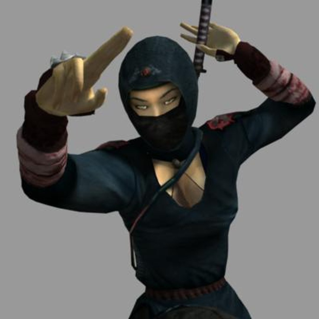 3d Female Asian Ninja Akiko