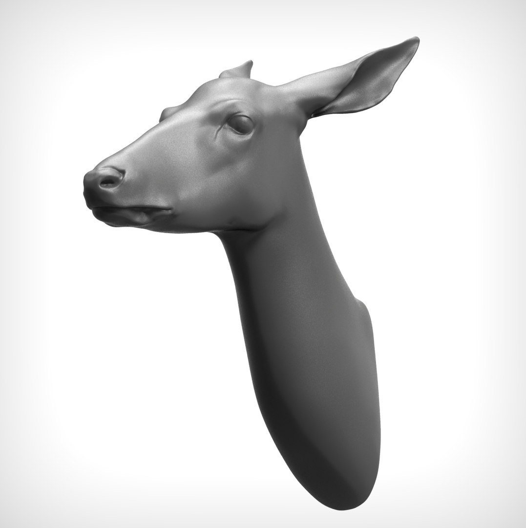 Deer Realistic Head Model - TurboSquid 1208113