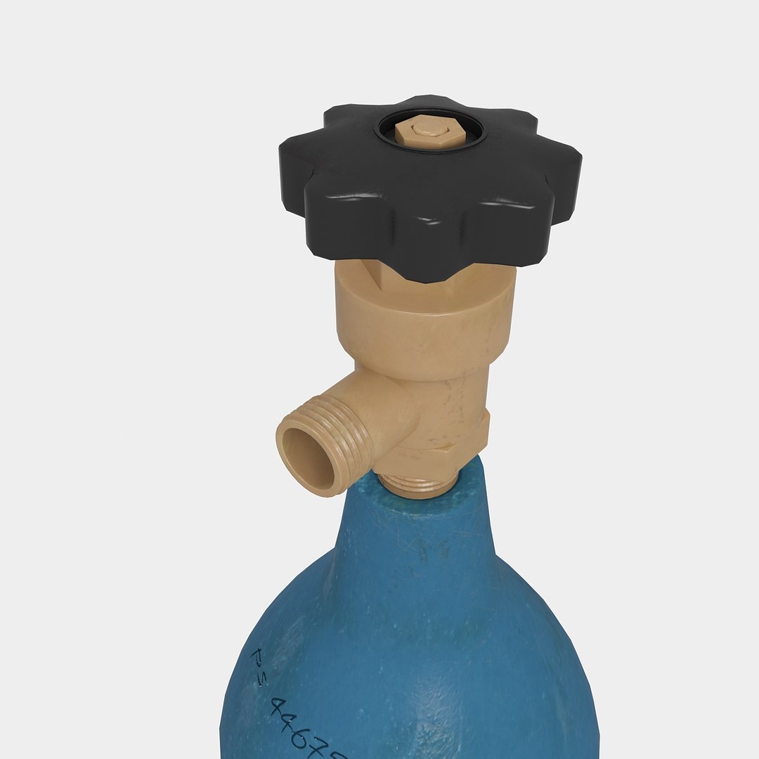 3d Model Balloon Co2