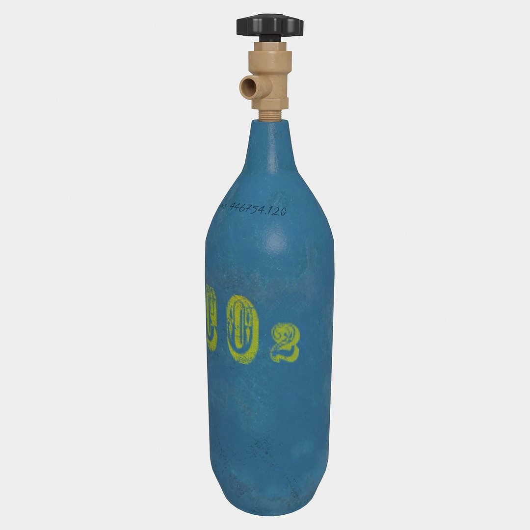 3d Model Balloon Co2