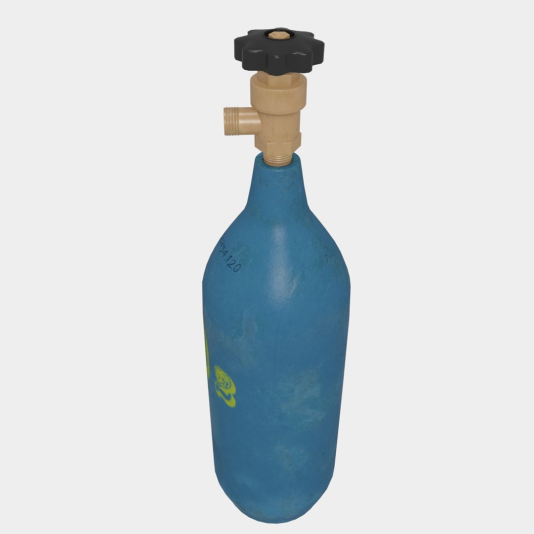 3d Model Balloon Co2