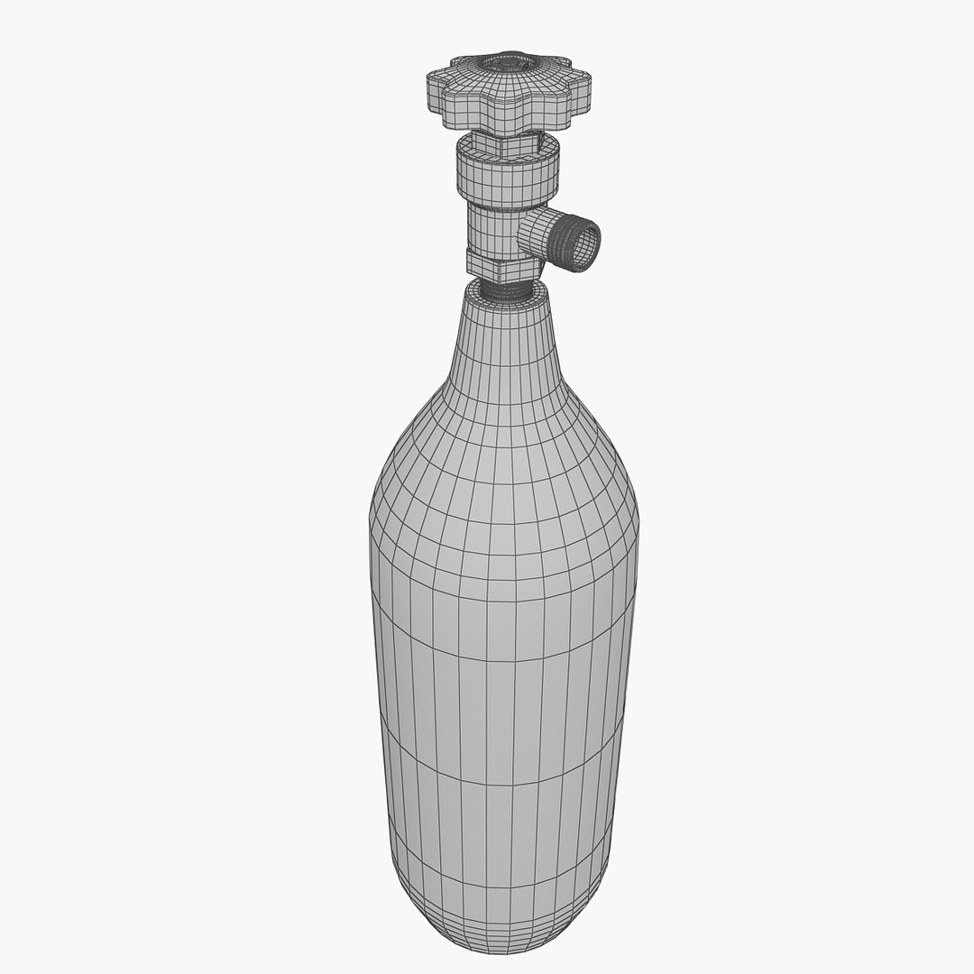 3d Model Balloon Co2