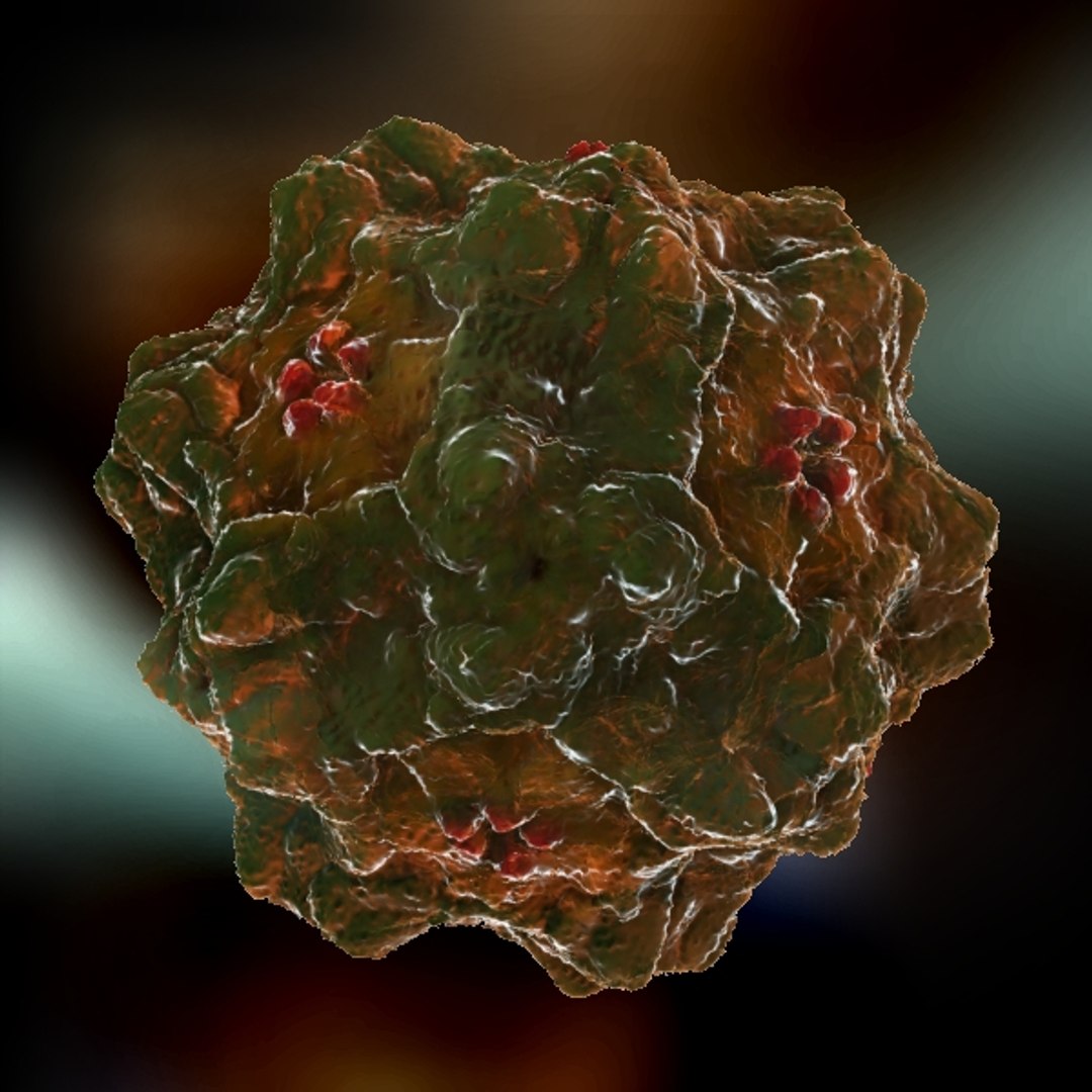 3d Panleukopenia Virus Model