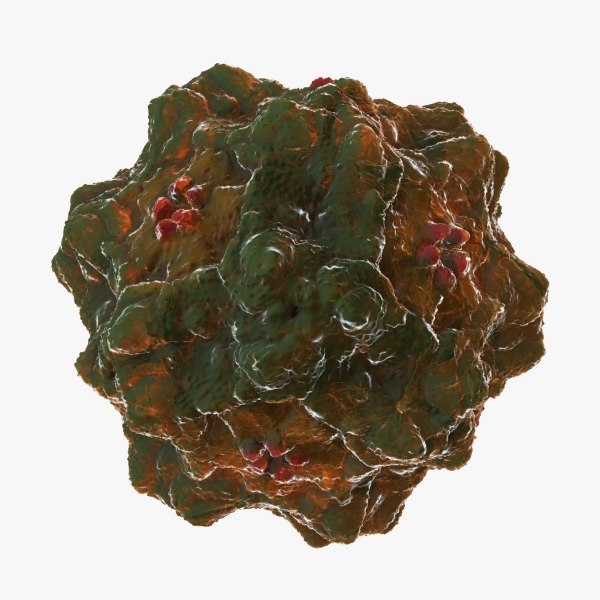 3d panleukopenia virus model