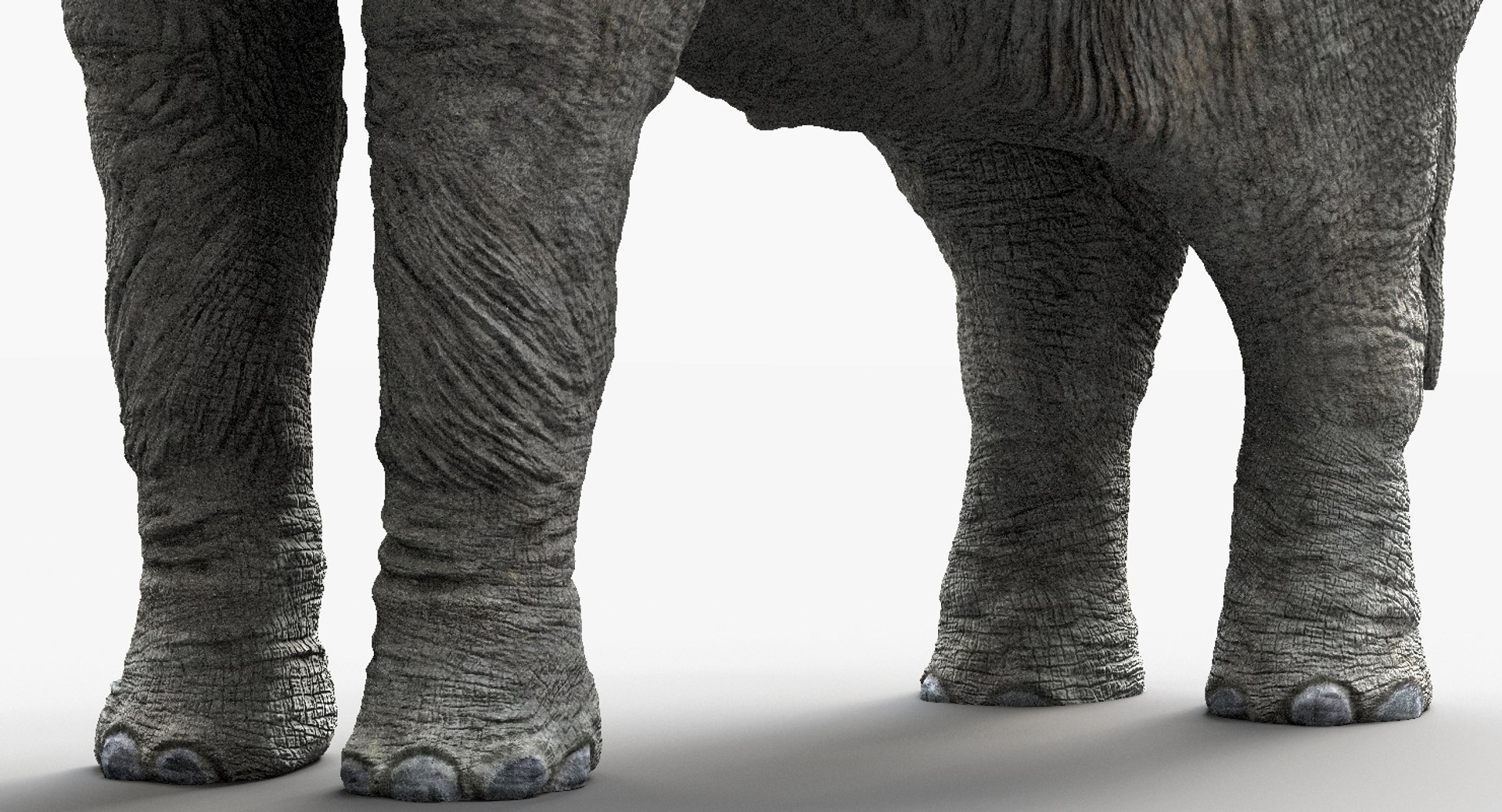 3D Elephant Africa - TurboSquid 1388213