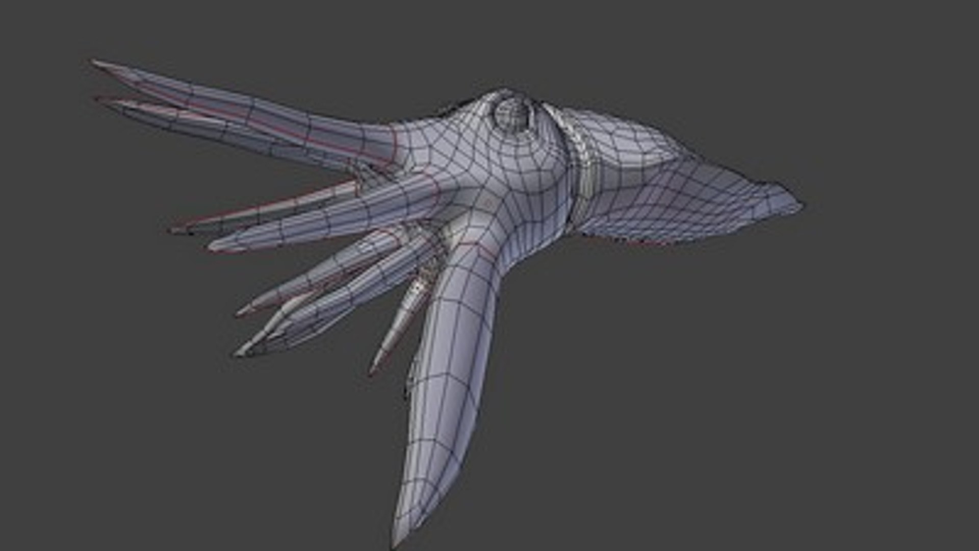 cuttlefish base mesh 3d model