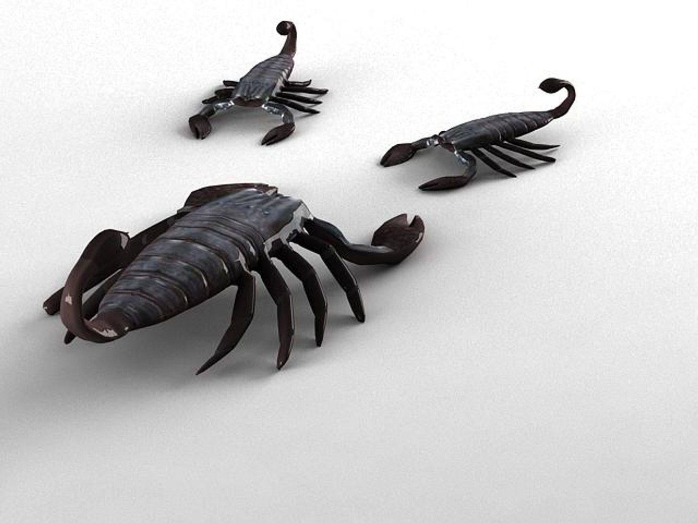 3d scorpion model