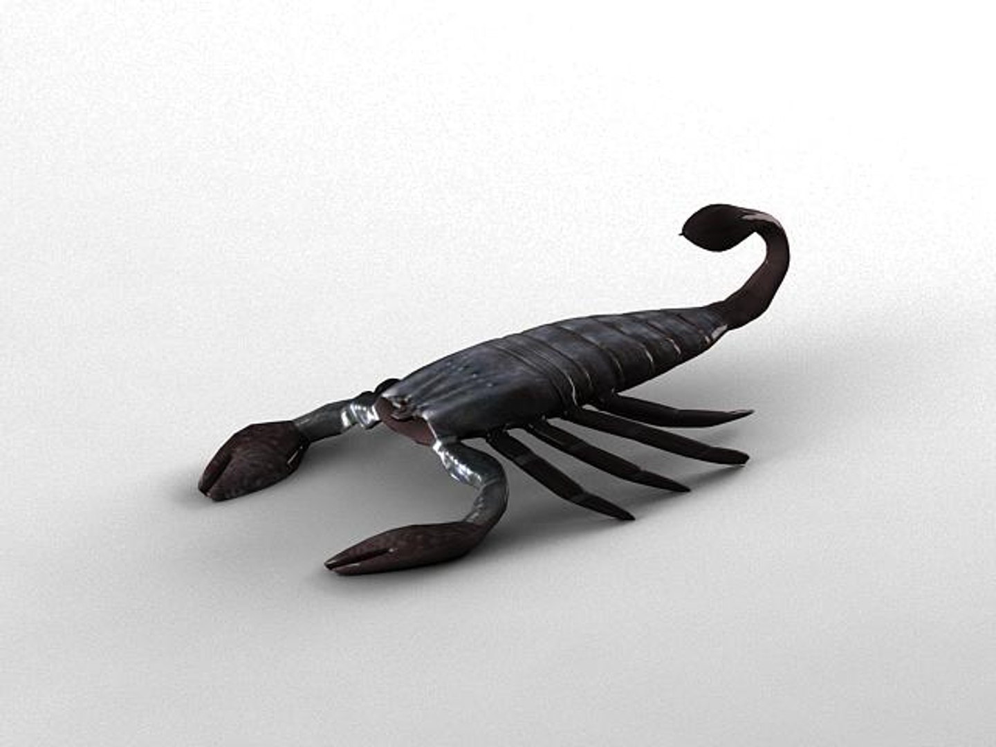 3d scorpion model