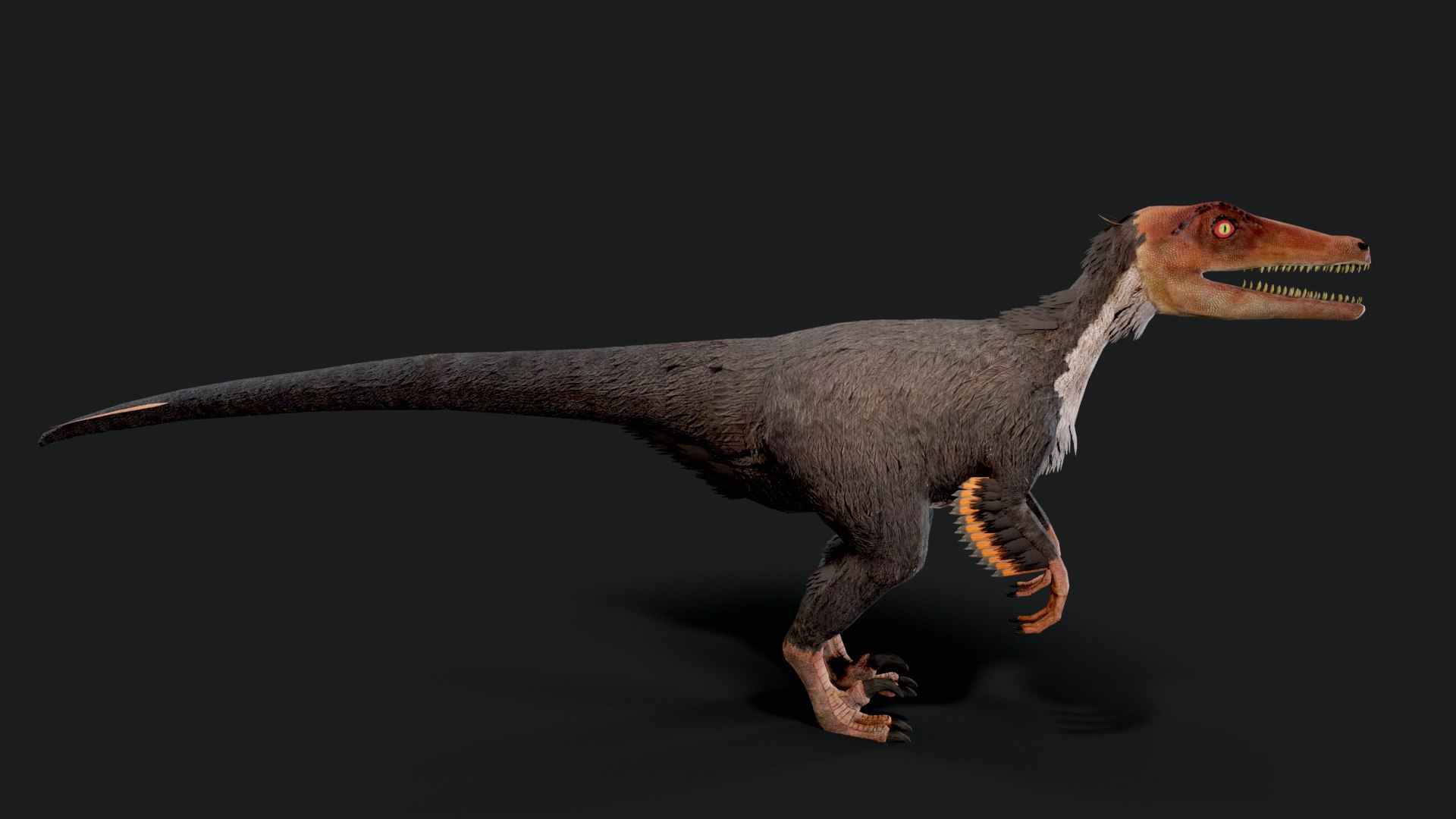 3D Velociraptor Dinosaur Animated Low Poly Model - TurboSquid 2229425